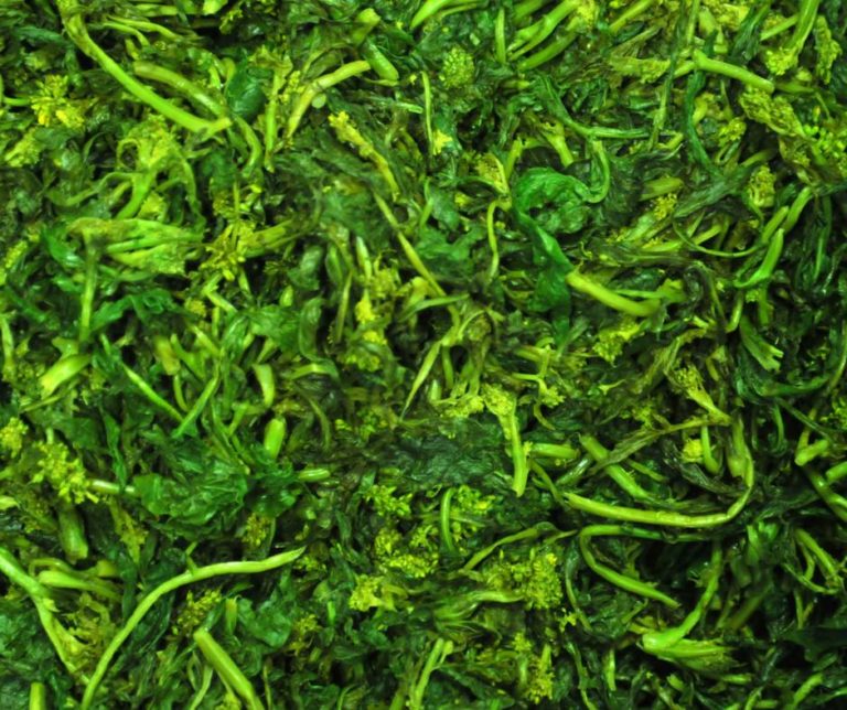 The sweetness of Friarielli